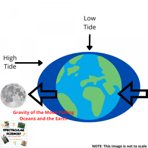 How Do Tides Work? - Spectacular Science