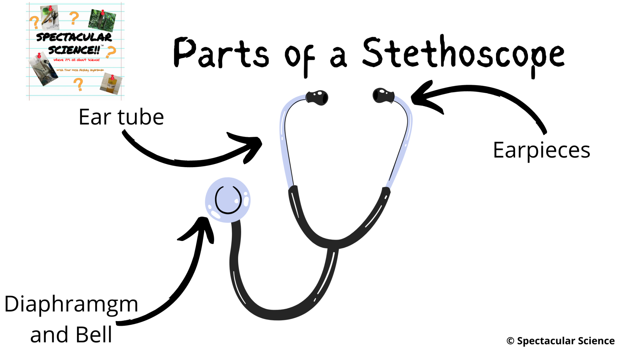 What Is A Stethoscope? - Spectacular Science