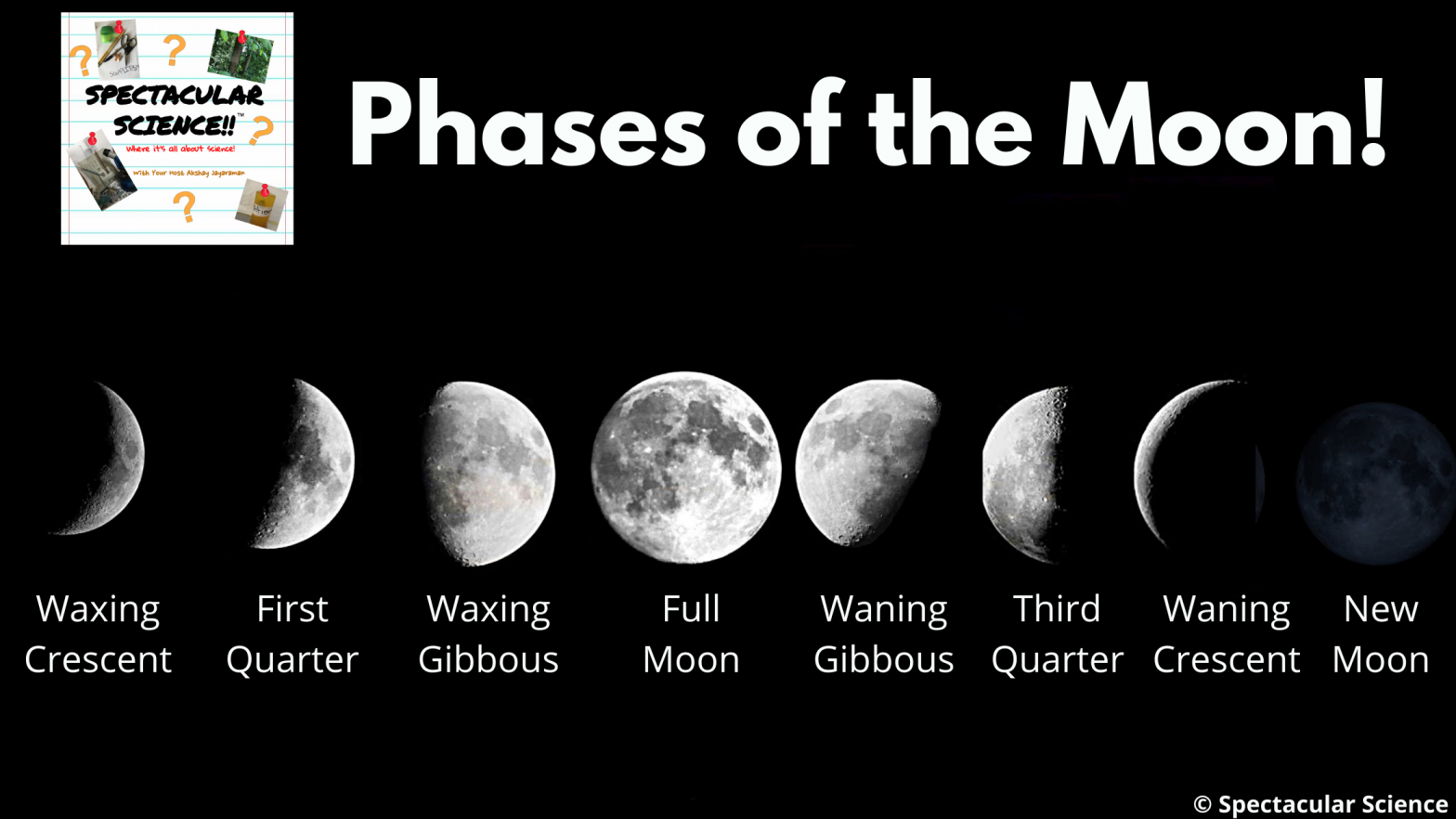 The Phases of the Moon! - Spectacular Science