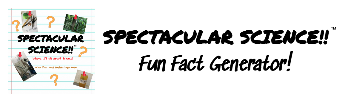 Recap of 2023! - Spectacular Science